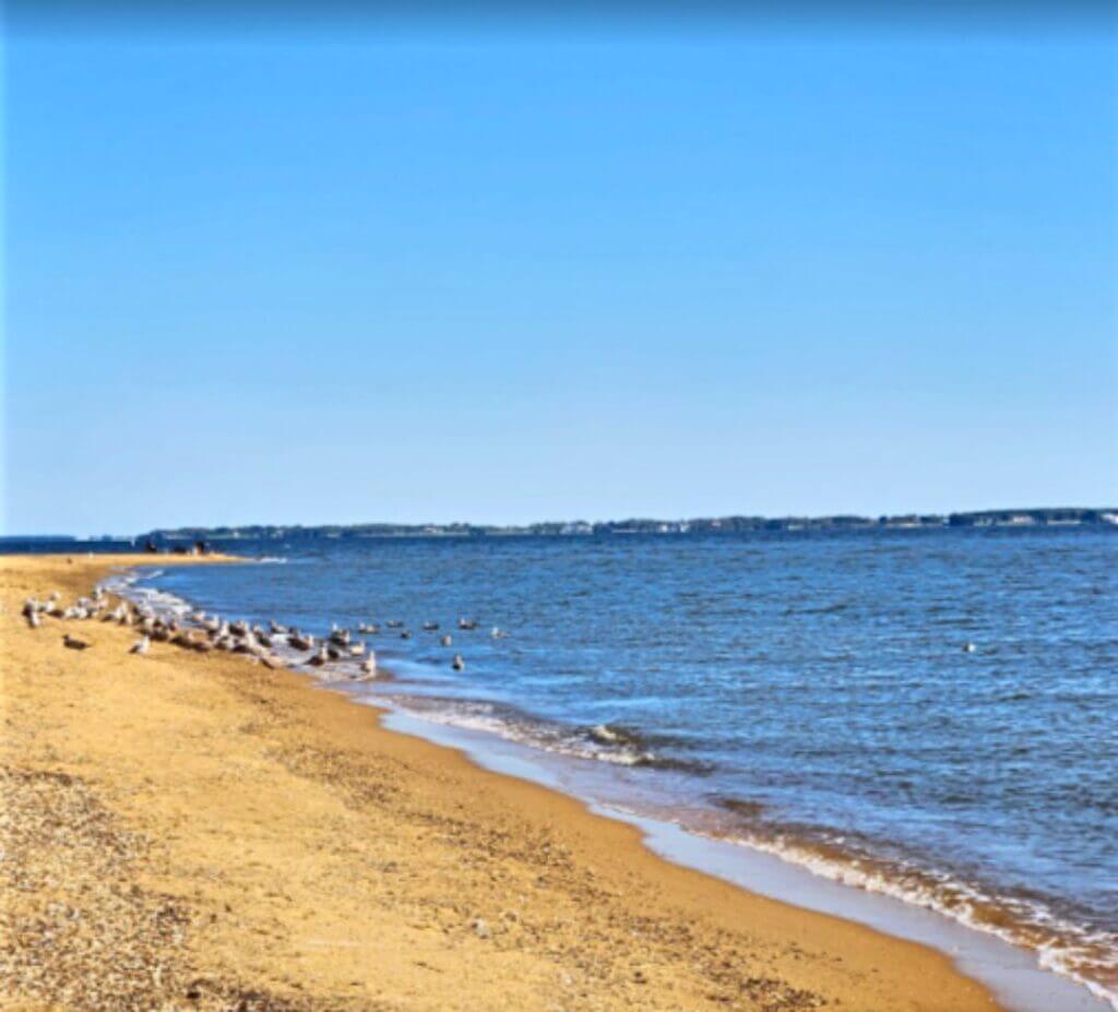 A Local’s Guide to Living in Crownsville, Maryland – LivingInMaryland.com