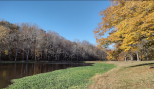A Local’s Guide To Living In Clinton, Maryland – LivingInMaryland.com