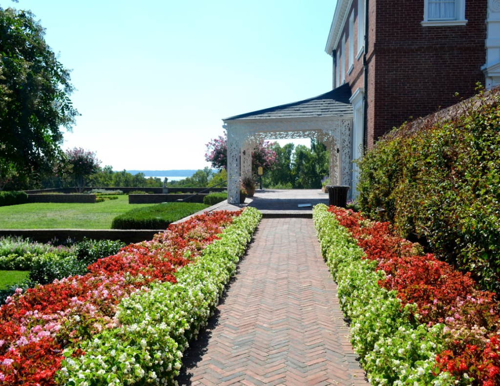 A Local’s Guide to Living in Forest Heights, Maryland ...