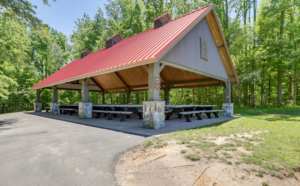A Local’s Guide to Living in Forestville, Maryland – LivingInMaryland.com