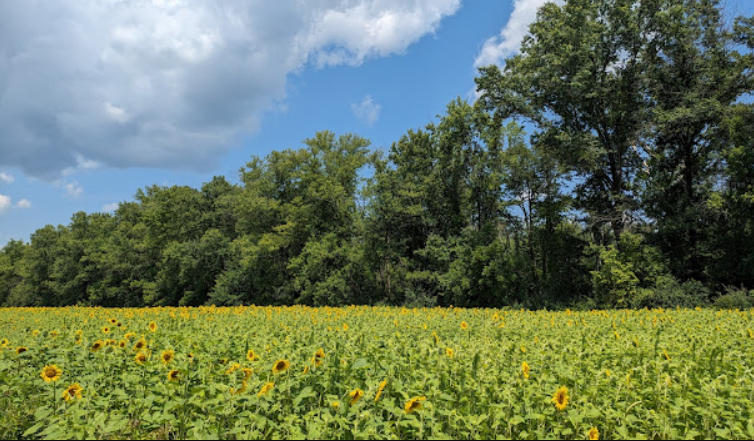 A Local’s Guide To Living In Poolesville, Maryland – LivingInMaryland.com