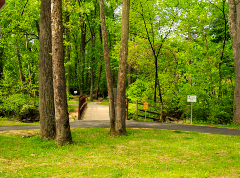 A Local’s Guide to Living in Takoma Park, Maryland – LivingInMaryland.com