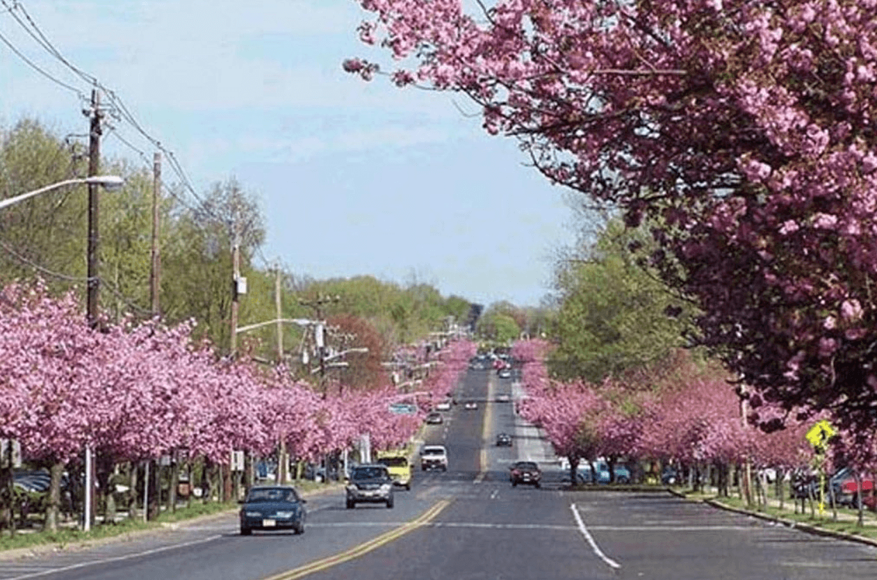 A Local’s Guide to Living in Cherry Hill, Maryland – LivingInMaryland.com