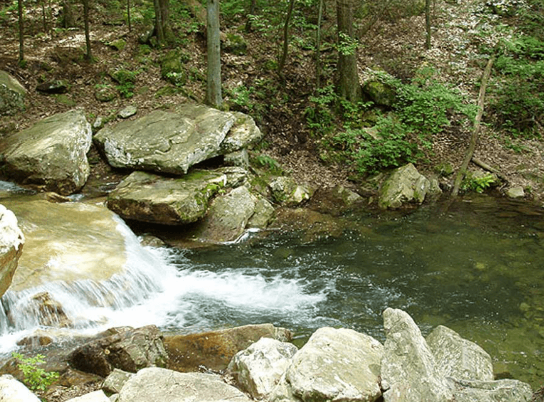 A Local’s Guide To Living In Winfield, Maryland – LivingInMaryland.com