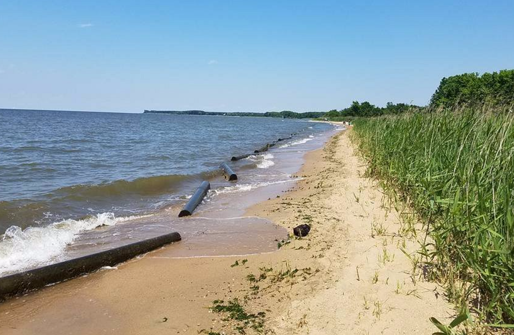 A Local’s Guide To Living In Stevensville, Maryland – LivingInMaryland.com